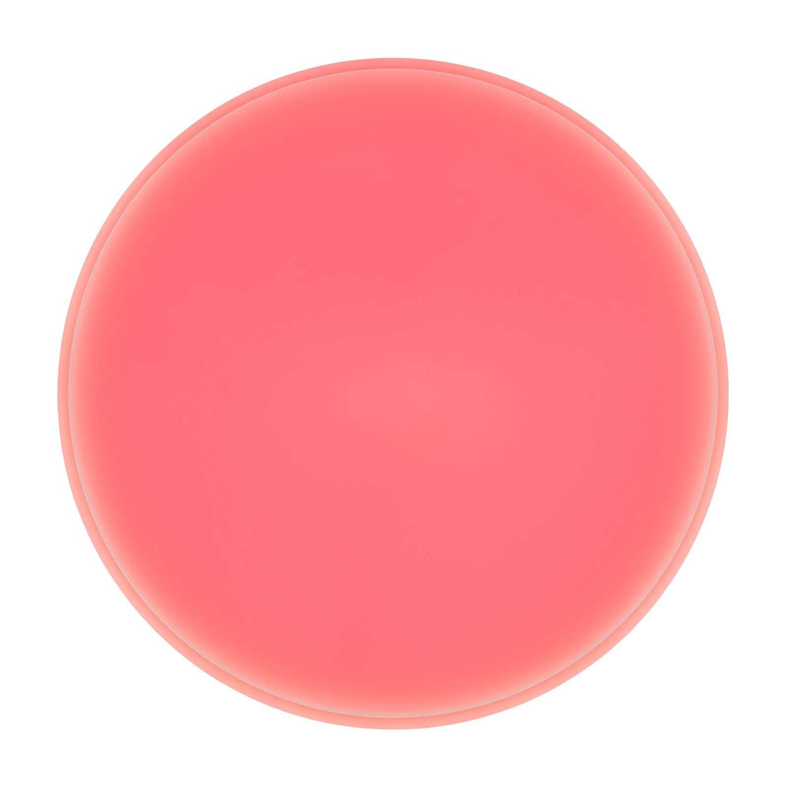 Eldy Plus® color | digital dental solutions