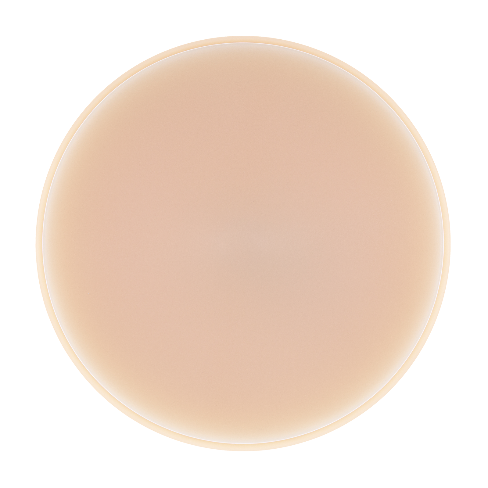 dds PMMA color | digital dental solutions