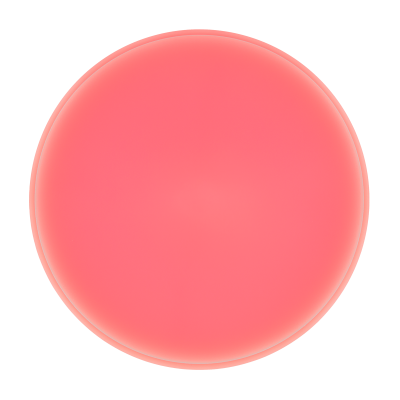 Eldy Plus® color | digital dental solutions